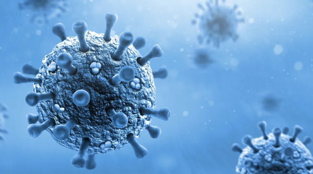 ¿Qué es el metapneumovirus humano?: el brote del virus en China - El ...
